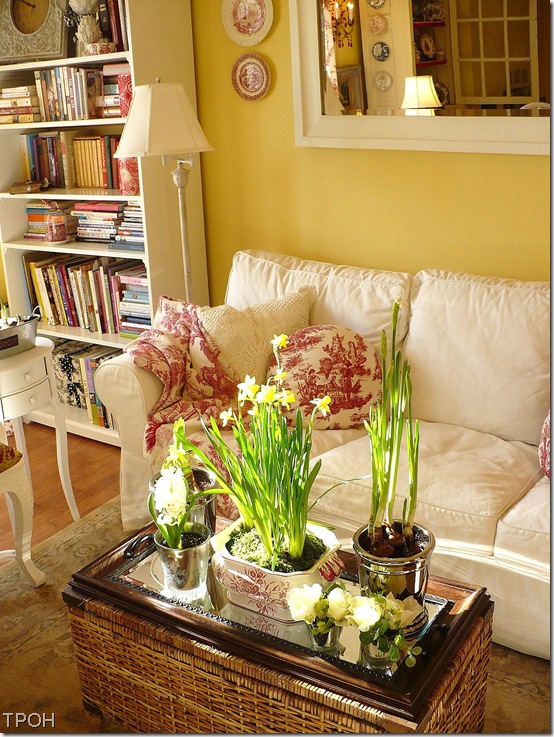 A Bit of Spring Indoors - A Cultivated Nest